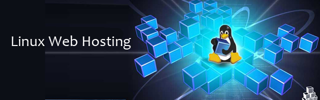 Adım Adım Linux Web Hosting Kurulumu Rehberi | Özkula Blog